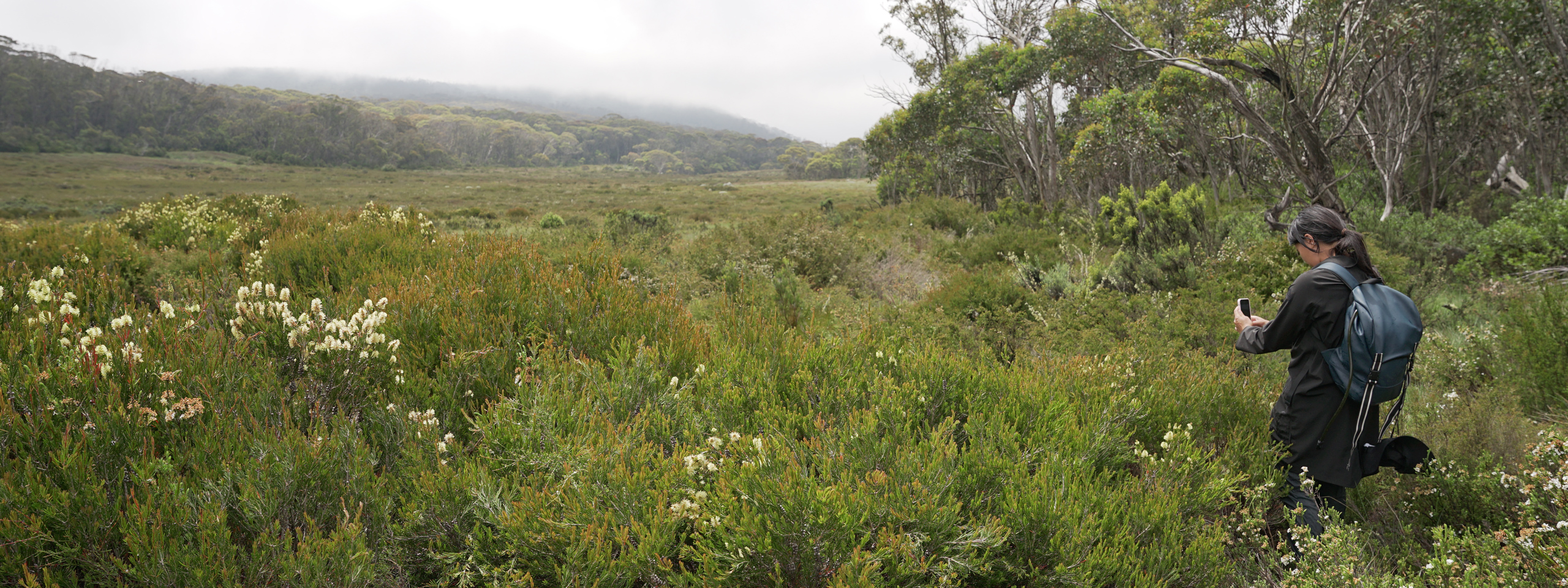 Ginini Wetlands UE4 Experiment | Lesson 1 Homework | Learn Squared