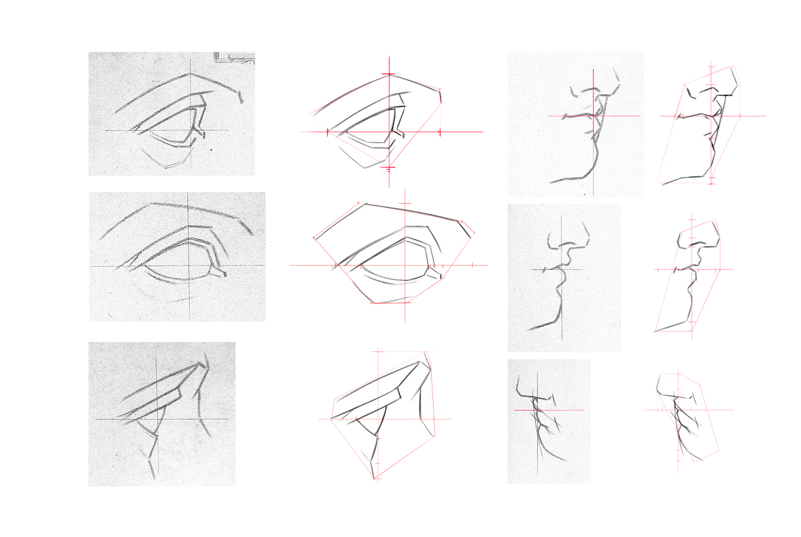 Bargue Plates HW 01 | Lesson 1 Homework | Learn Squared
