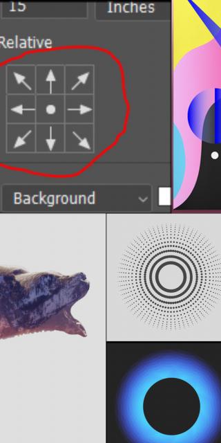 Motion Design | Learn Squared